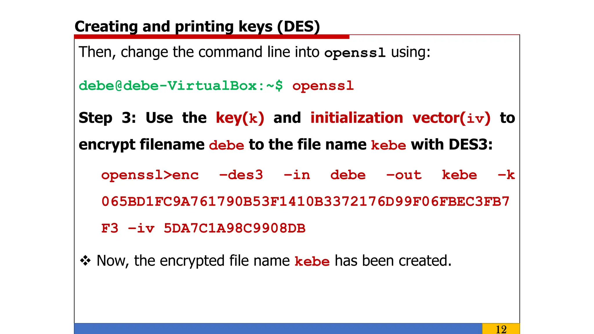 Computer Security Laboratory Manual .pdf