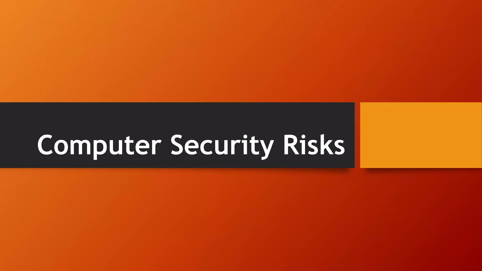 Computer security risks | PDF