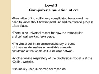 Computer simulation | PDF