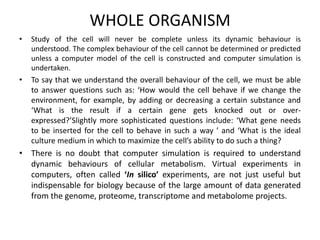 computer simulations.pptx