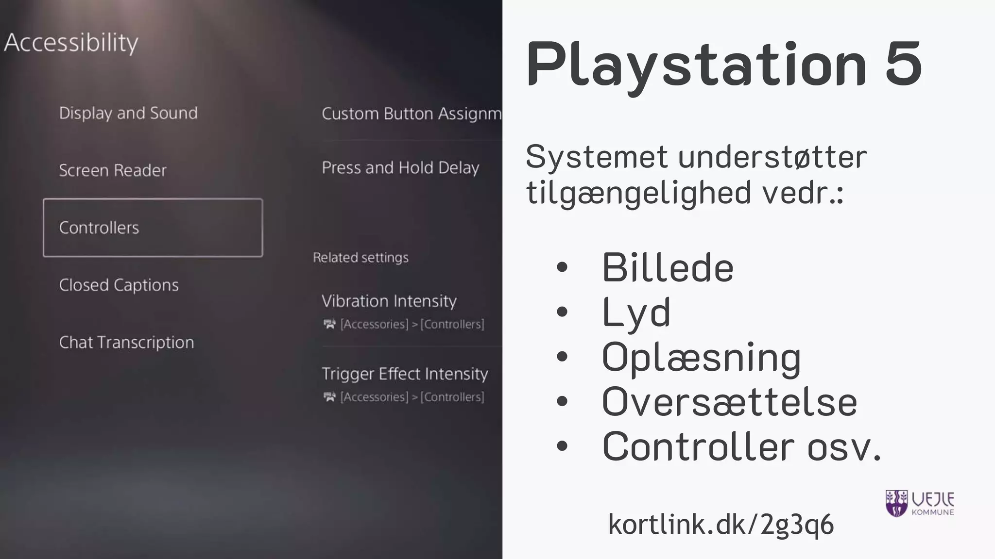 Computerspil for unge med nedsat syn | PPT