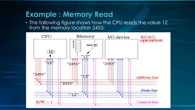 Computer System Bus