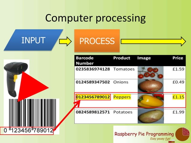 Computer Systems - Input, Process, Output | PPTX | Operating Systems | Computer Software and ...
