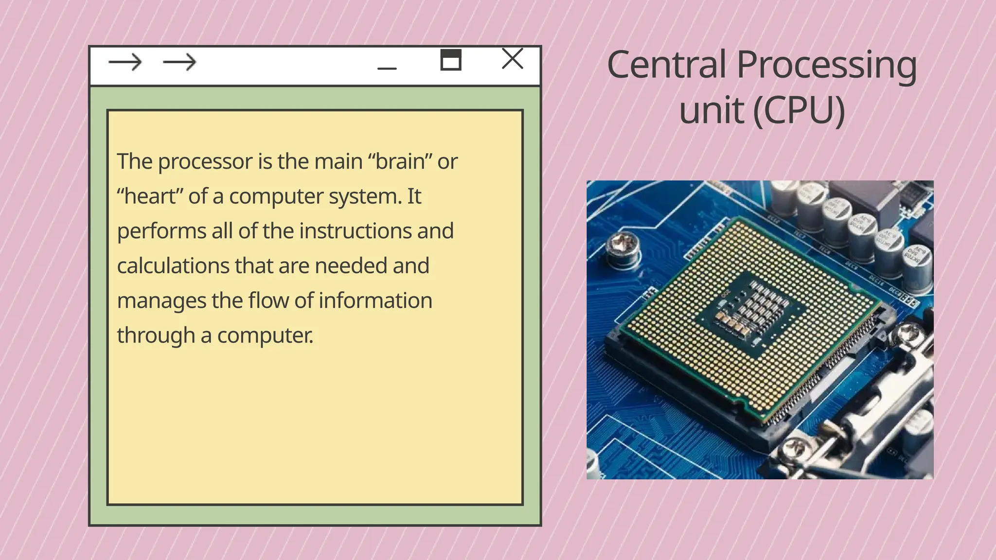 Computer Systems Software _ Hardware Components and Devices | PPTX