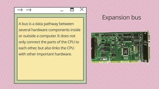 Computer Systems Software _ Hardware Components and Devices | PPTX