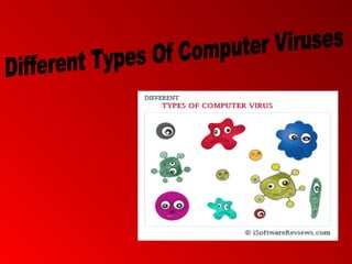 Computer virus | PPT | Operating Systems | Computer Software and Applications