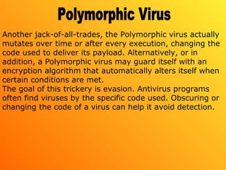 Computer virus | PPT | Operating Systems | Computer Software and ...