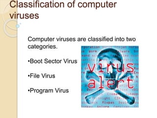 Computer virus | PPTX
