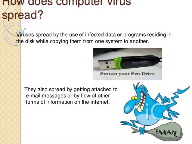 Computer Virus