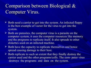 Computer virus | PPT