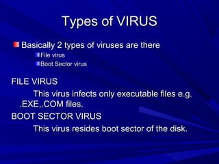 Computer virus | PPT