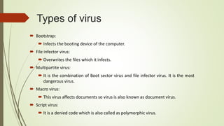 Computer virus | PPT