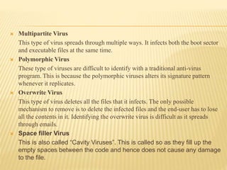 Computer virus | PPT