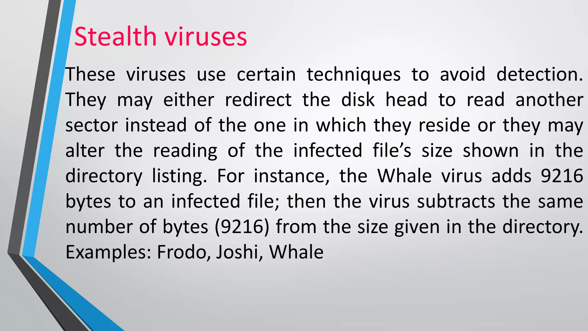 Computer virus | PDF