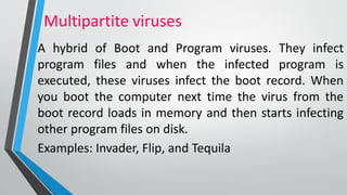 Computer virus | PPT