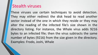 Computer virus | PPT
