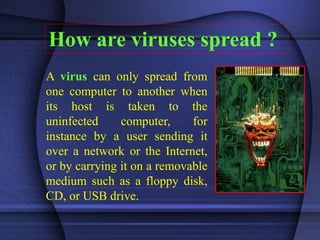 COMPUTER VIRUS affecting to computer software | PPT