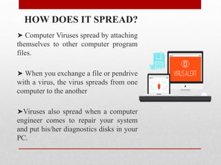 Presentation related to COMPUTER VIRUS.pptx | Operating Systems ...
