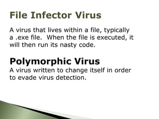 Computer virus and antivirus | PPT
