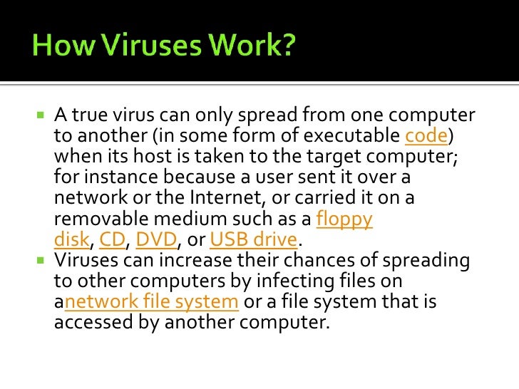 Computer Viruses