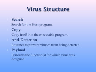Computer viruses | PPT