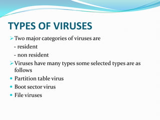 computerviruses-130130163155-phpapp02.pdf