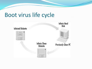 Computer viruses | PPTX