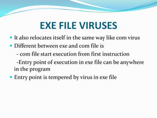 Computer viruses | PPTX
