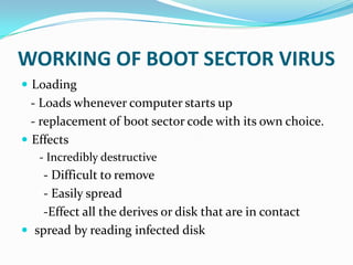 Computer viruses | PPTX