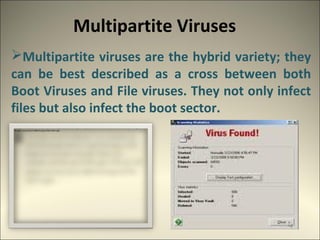 Computer viruses | PPT