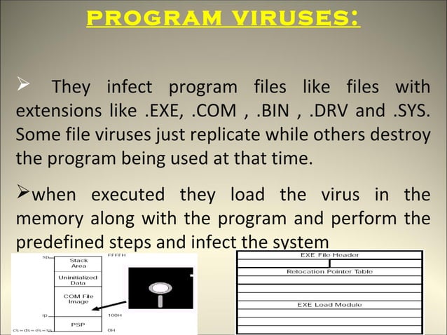 Computer viruses | PPT