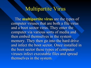 Computer viruses | PPT