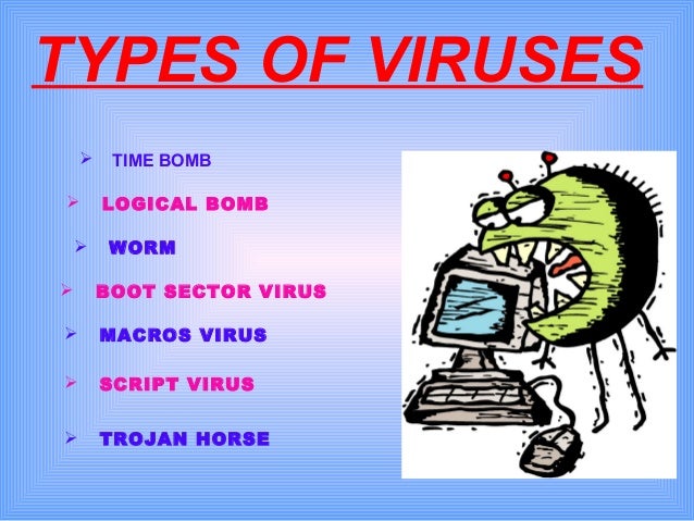 Computer viruses