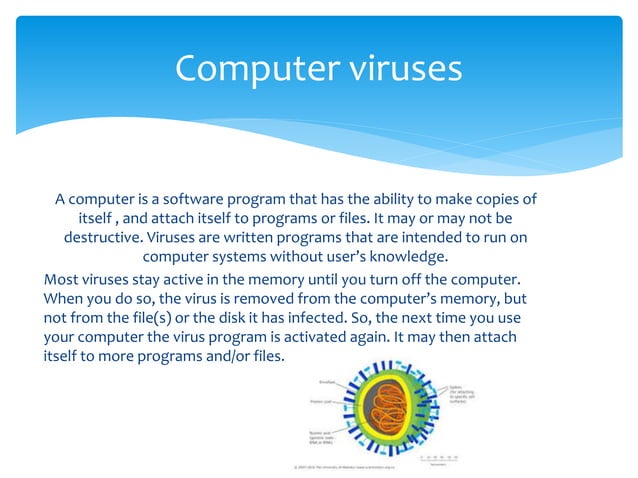 Computer viruses | PPT