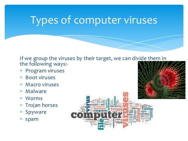 Computer viruses