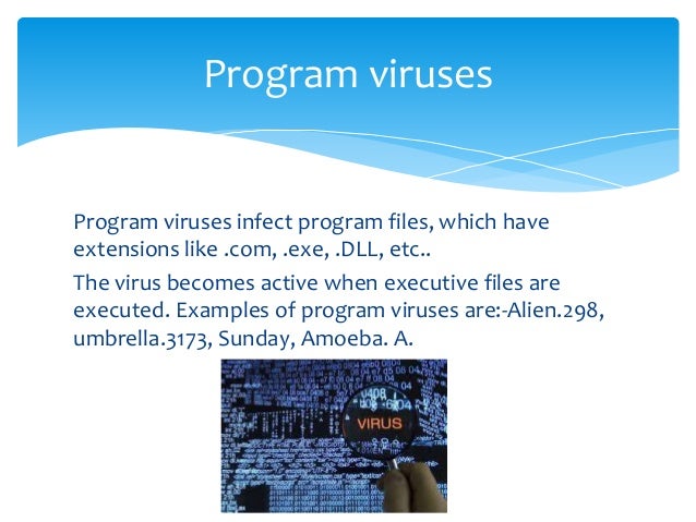Computer viruses