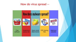 Computer viruses | PPTX | Antivirus Software | Computer Software and ...