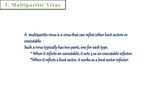 Computer viruses | PPT