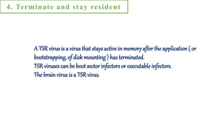 Computer viruses | PPT