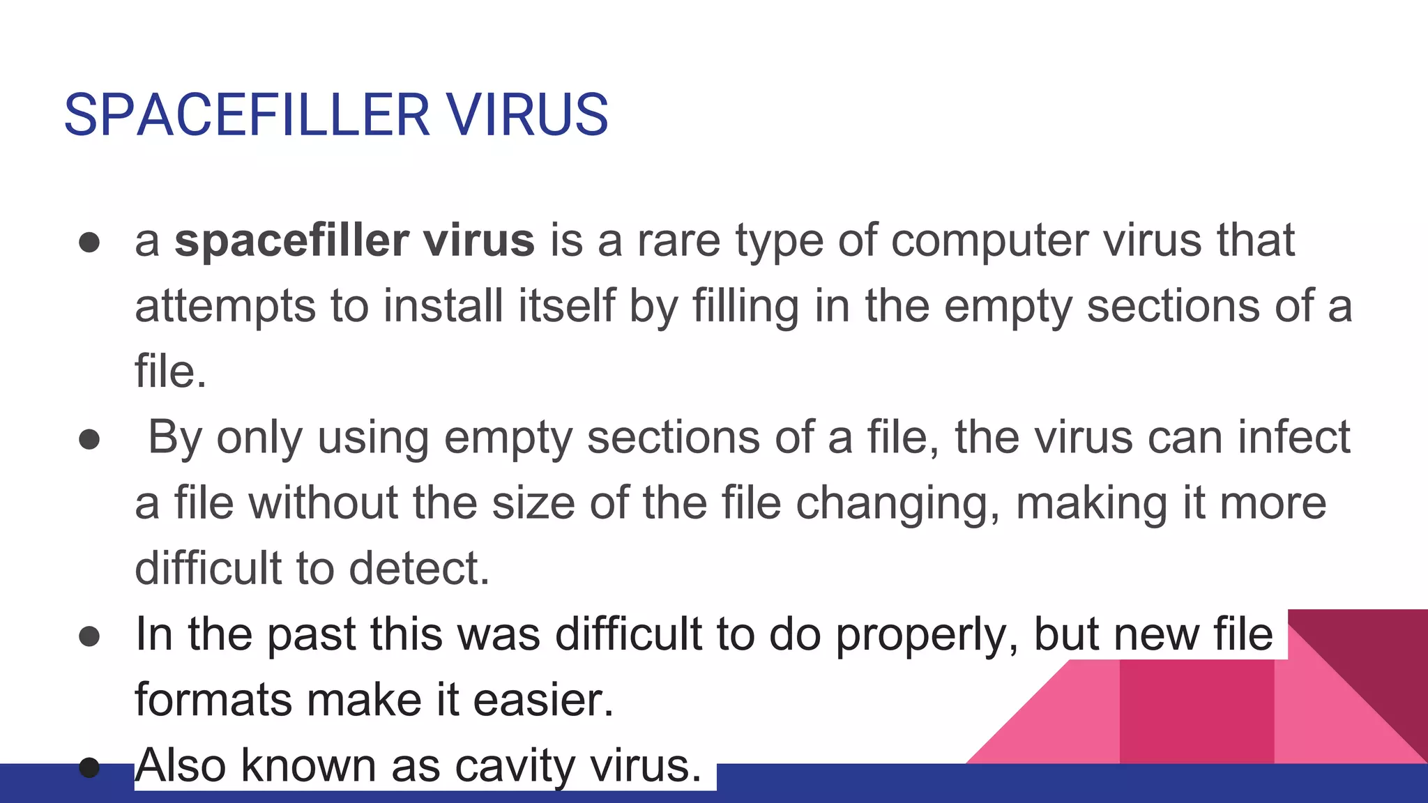 Computer Viruses | PPT