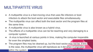 Computer Viruses | PPT