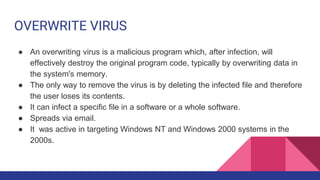 Computer Viruses | PPT