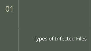 Computer Viruses types of infected file.pptx