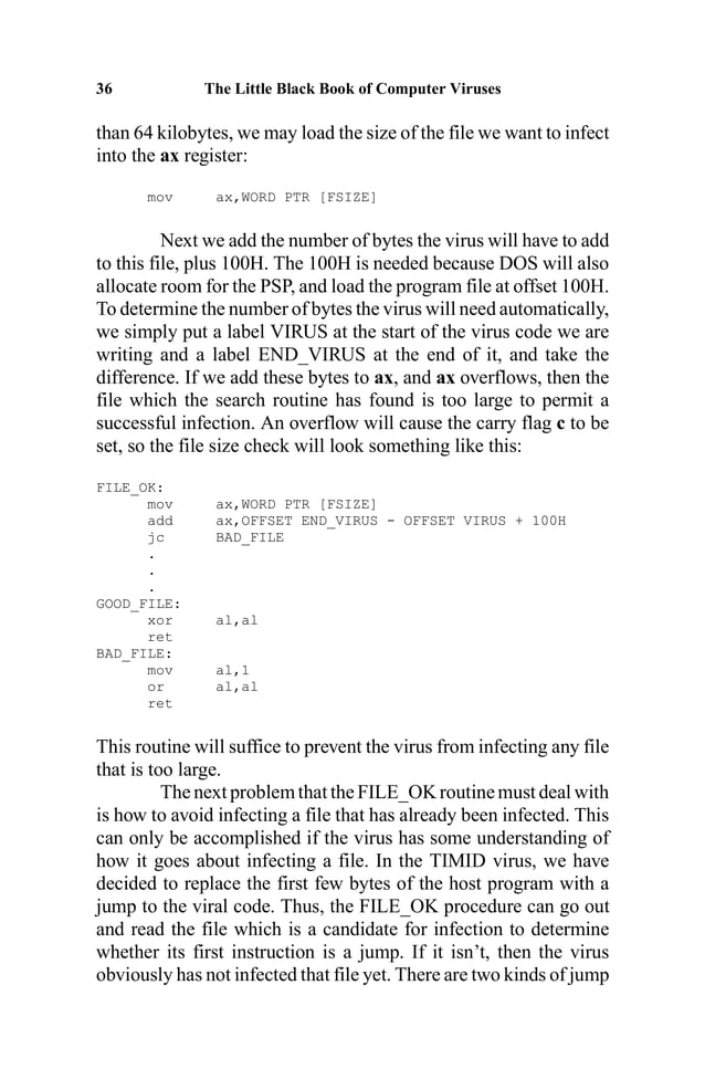 COMPUTER VIRUSES (1).pdf
