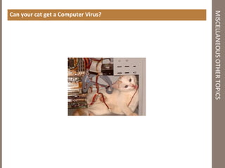 Computer viruses 911 computer support | PPT