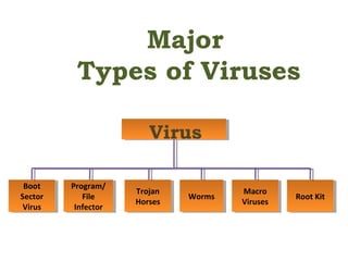 Computer viruses and anti viruses by sasikumar | PPT