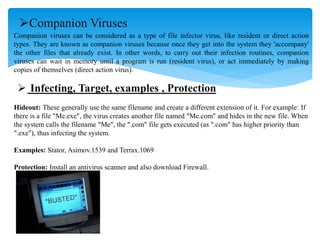 Computer viruses and prevention techniques | PPTX
