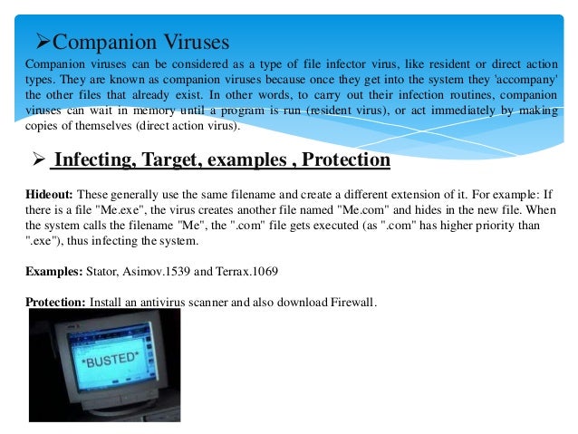 Computer viruses and prevention techniques