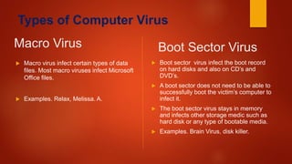 Computer Virus ICT 402.pptx