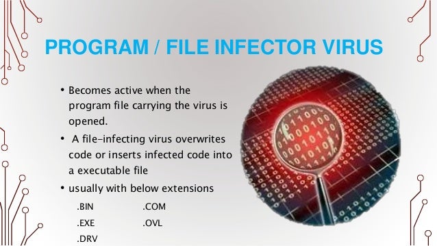 Computer virus & its cure